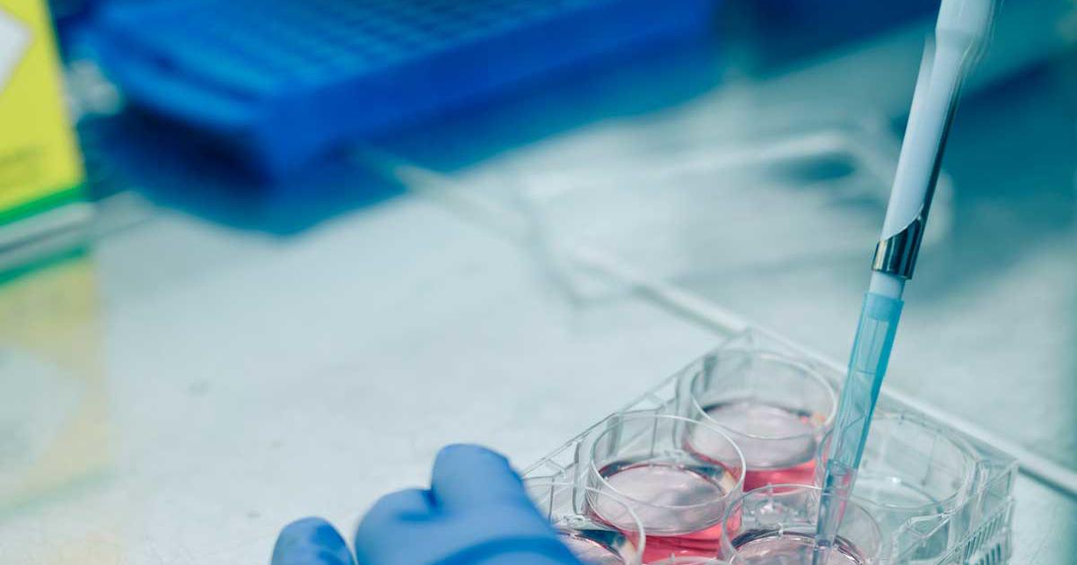 Centre for Biomedicine | Hull York Medical School